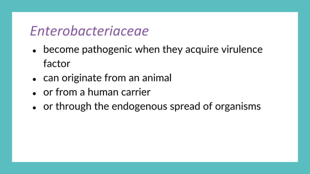 BABS 201 Lecture 5. Gram negative organisms; Enterobacteriaceae-1.pdf