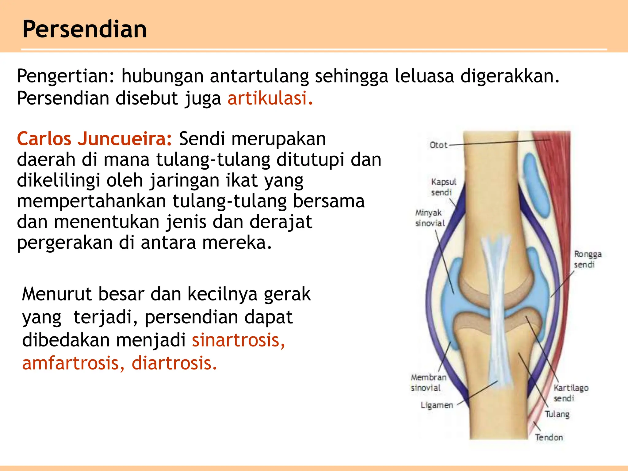 bab sistem gerak MANUSIA.ppt Mistikatun.ppt