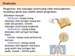 bab sistem gerak MANUSIA.ppt Mistikatun.ppt