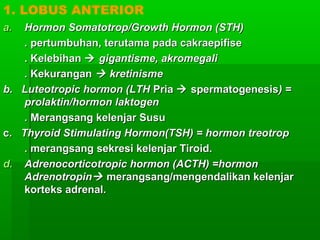 Sistem Koordinasi (hormon) by RAJU PRATAMA | PPT