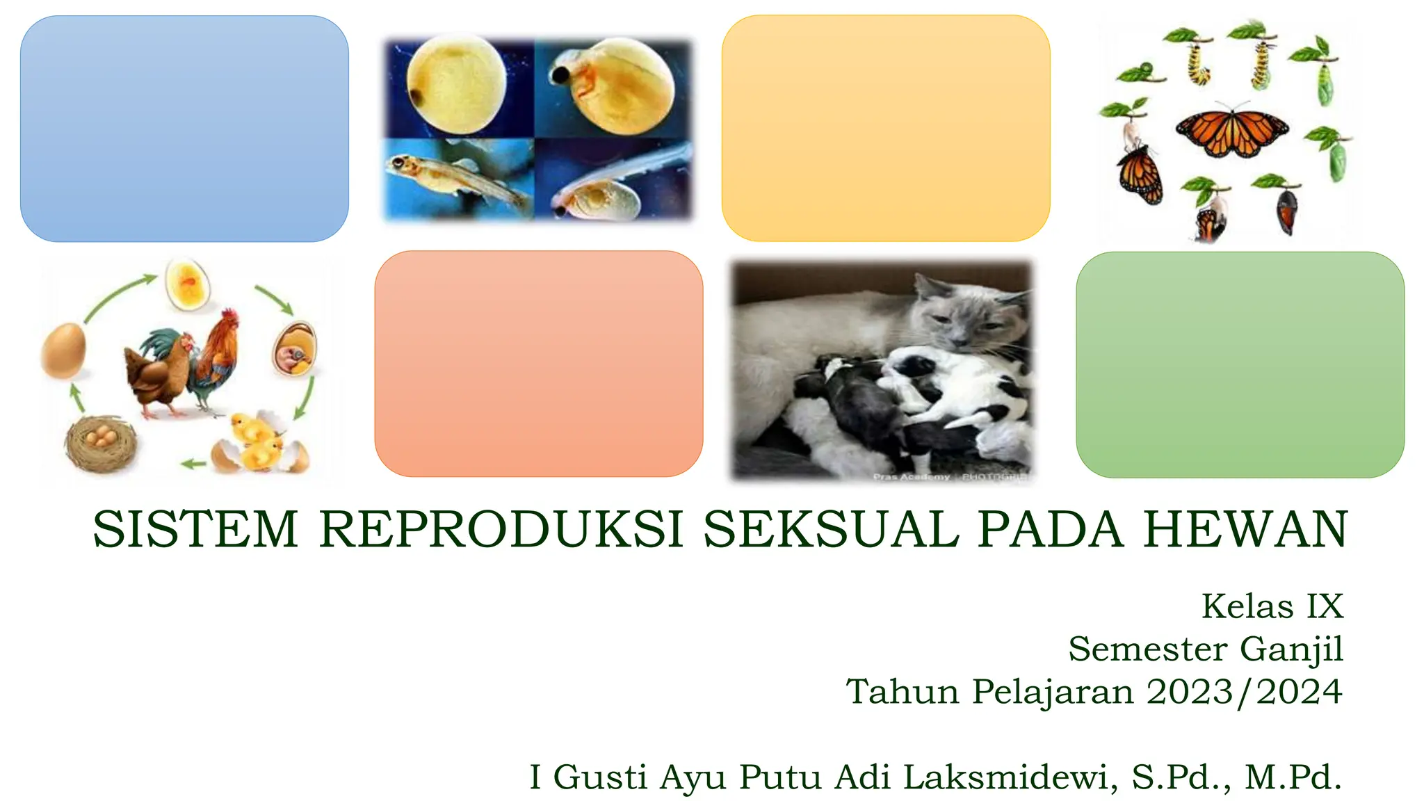 BAB Supervisi Sistem Reproduksi pd Hewan.pptx