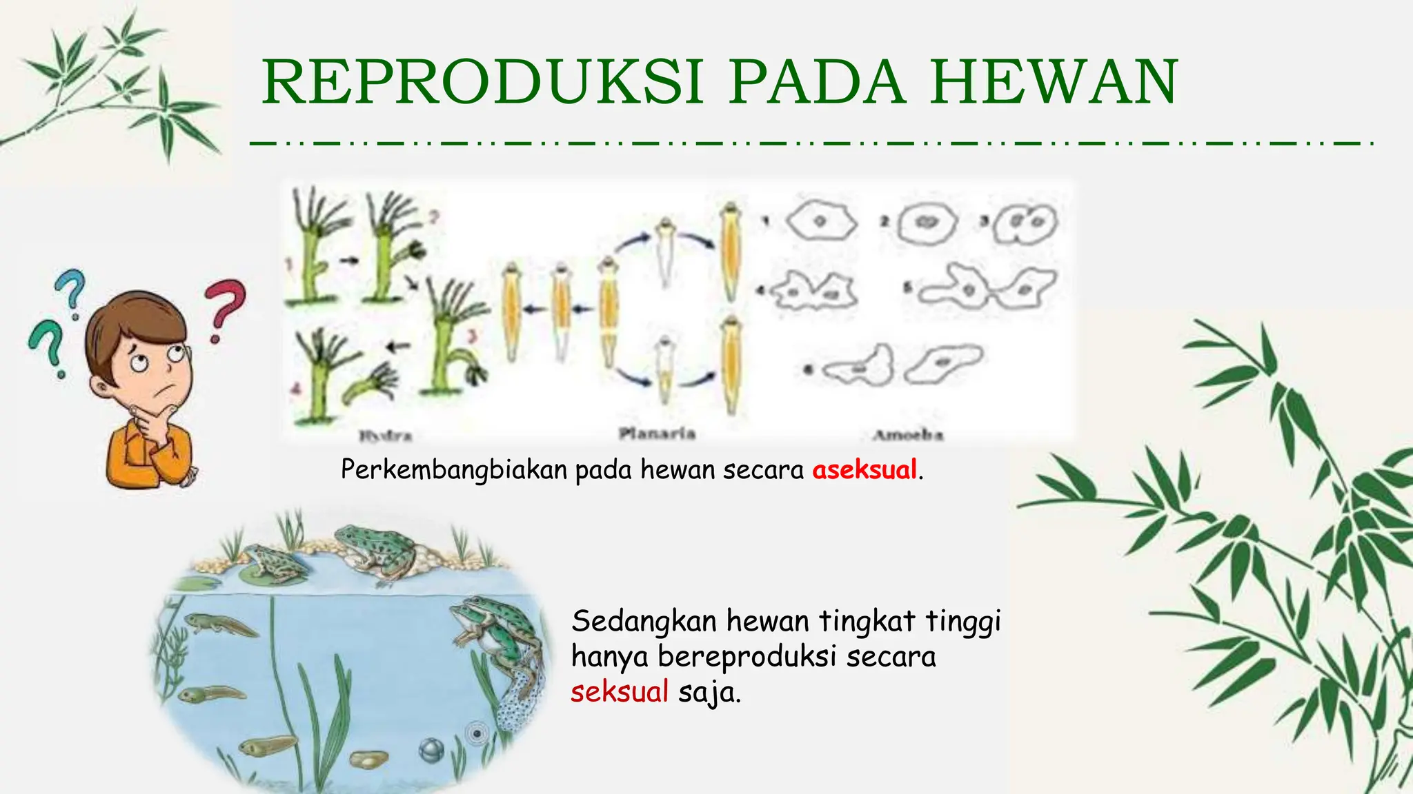BAB Supervisi Sistem Reproduksi pd Hewan.pptx