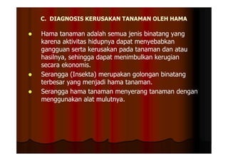 Bab v diagnosis hama tanaman | PDF