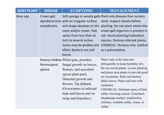 Bab vi rekomendasi | PPT