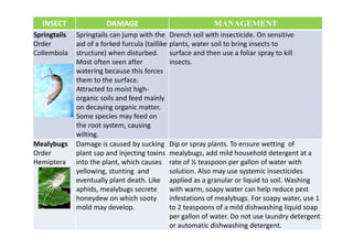 Bab vi rekomendasi | PPT