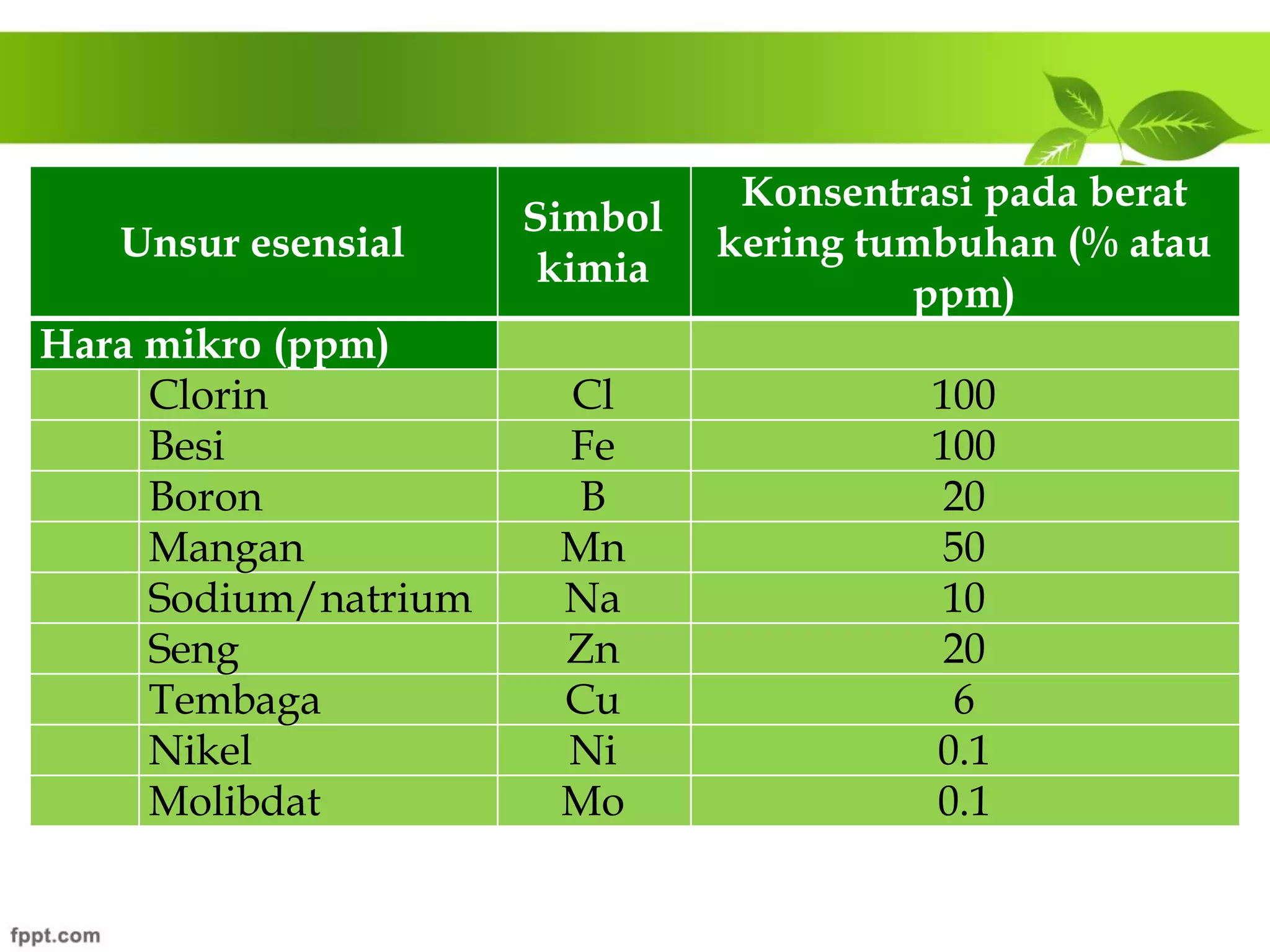 Hara Mineral untuk Tanaman | PDF
