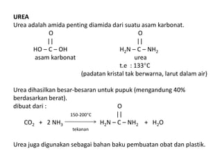 asam anhidrida | PPTX