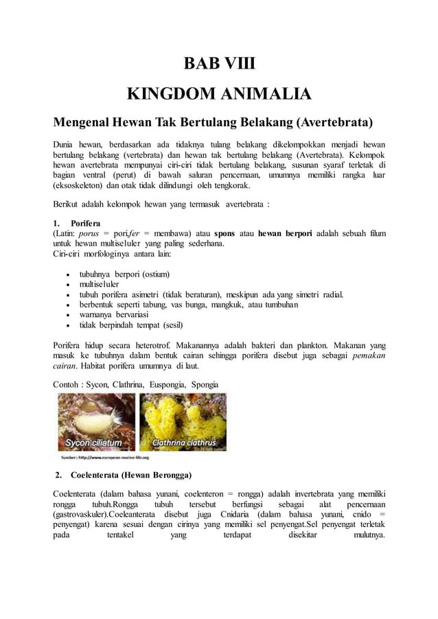 Bab viii animalia KELAS X | DOCX
