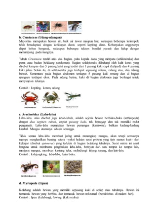 Bab viii animalia KELAS X | DOCX