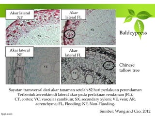 Fisiologi Stress | PDF