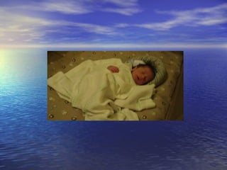 Babyryan | PPT