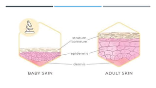 Baby and adult skin | PPTX