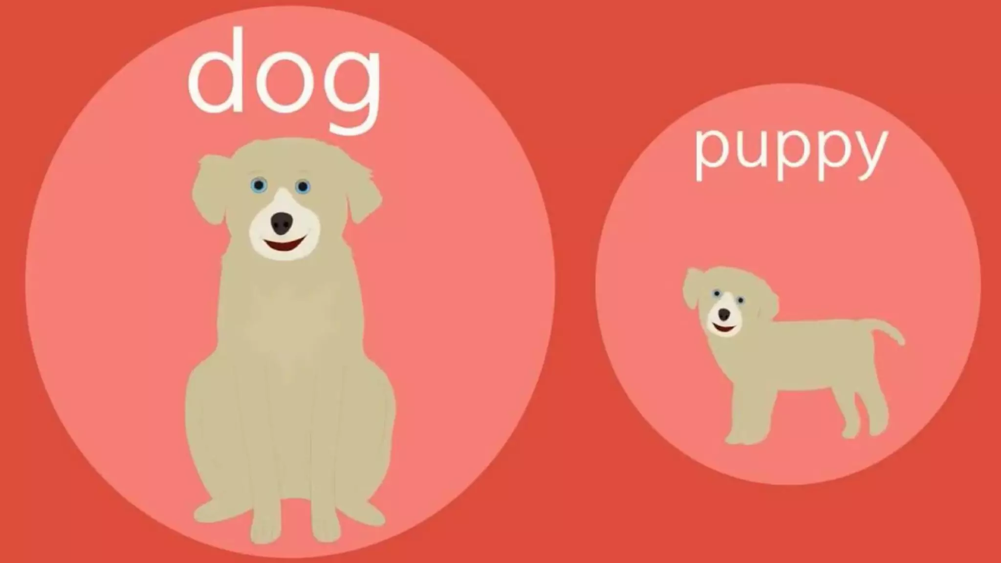 Baby animals song | PPT