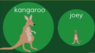 Baby animals song | PPT