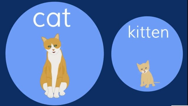 Baby animals song | PPT