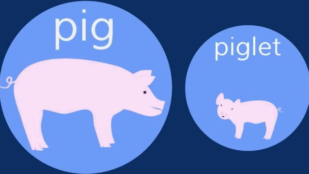 Baby animals song | PPT