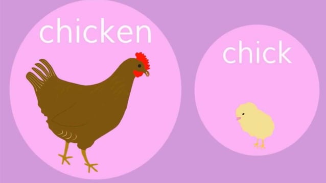 Baby animals song | PPT