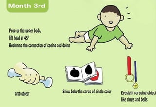 Baby Development Guide 0 36 Months | PDF