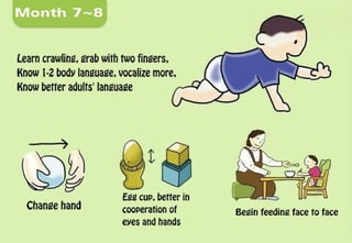 Baby Development Guide 0 36 Months | PDF