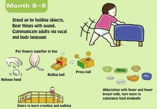 Baby Development Guide 0 36 Months | PDF