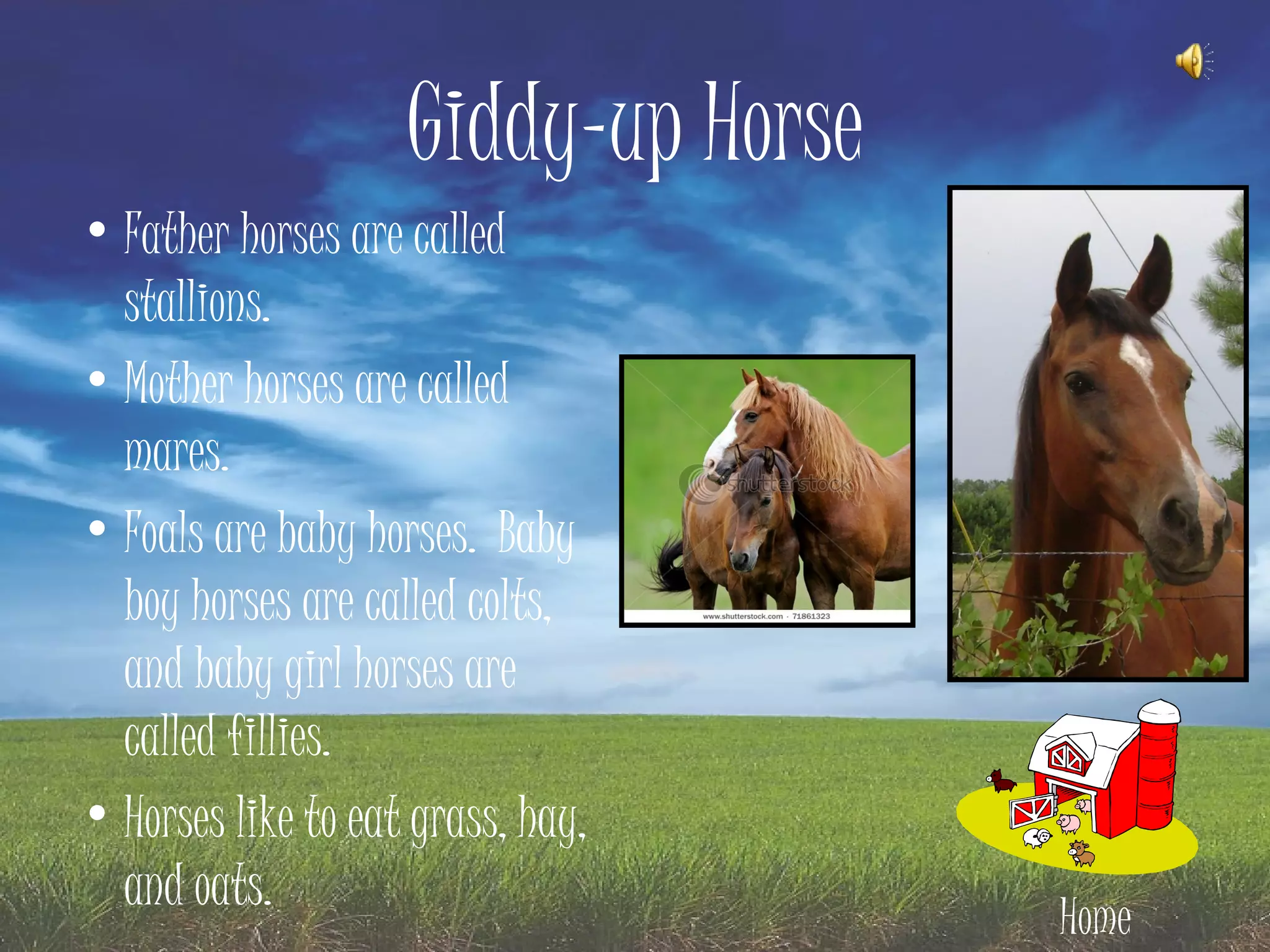 Baby farm animals | PPT