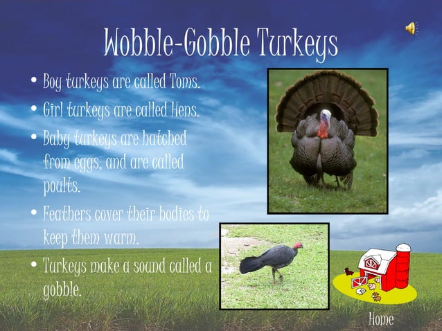 Baby farm animals | PPT | Birds | Pets