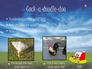 Baby farm animals | PPT