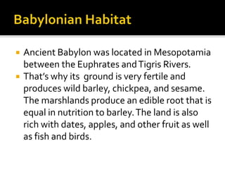 Babylonian Civilization | PPTX