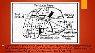 Babylonian History of Medicine - Rivin | PPTX