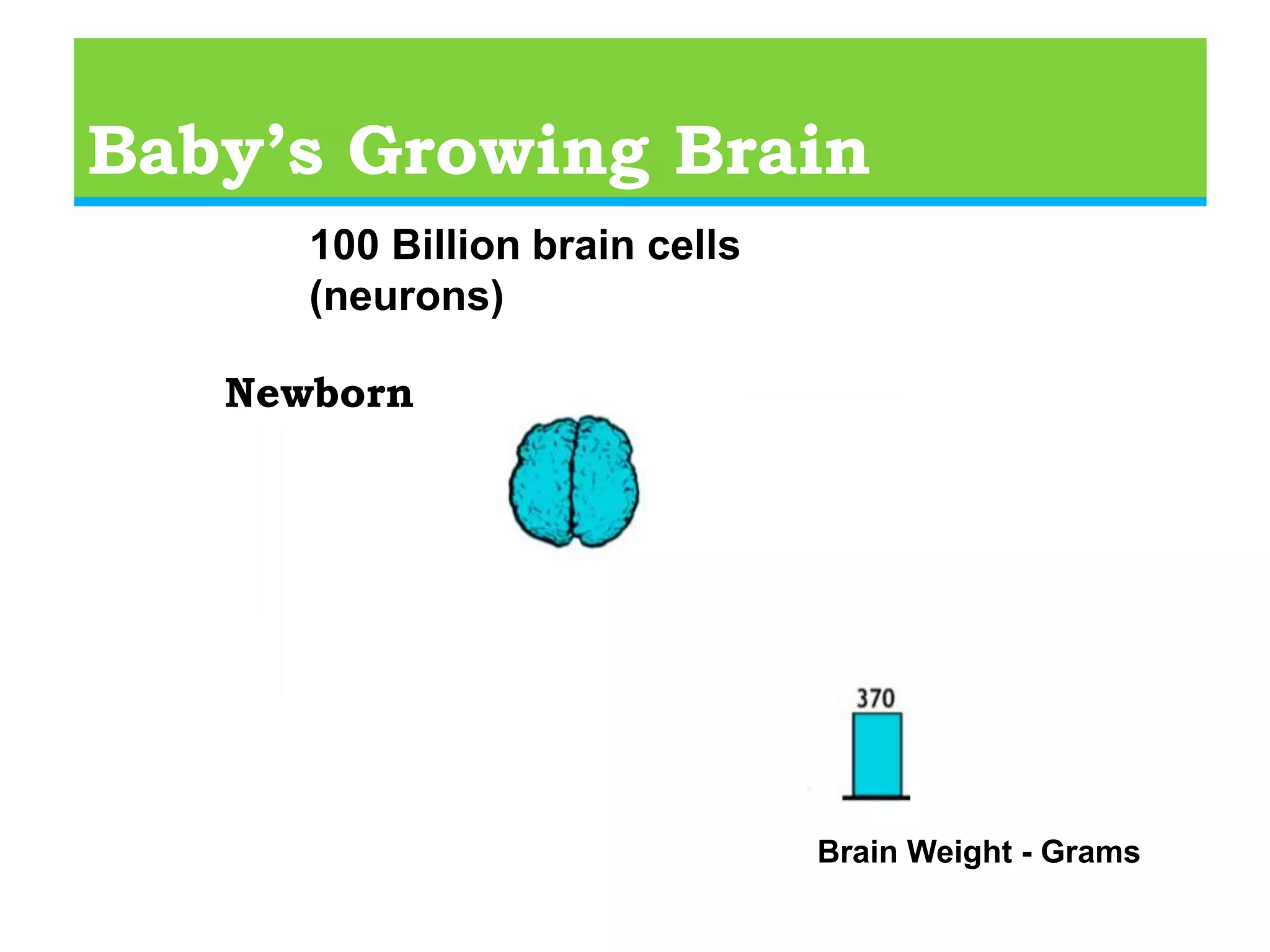 Baby’s brain development and literacy | PPTX