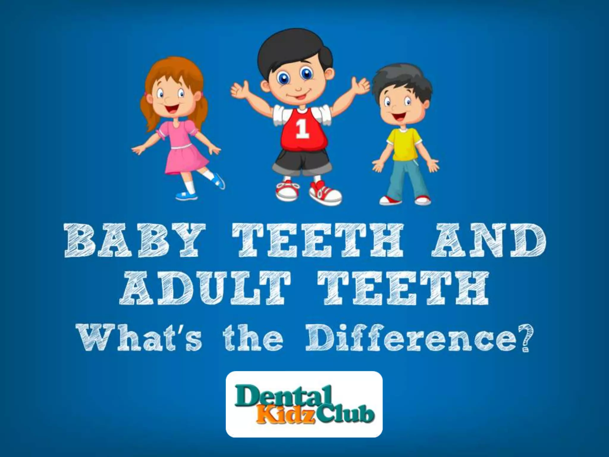 Baby teeth and adult teeth. what's the difference | PDF
