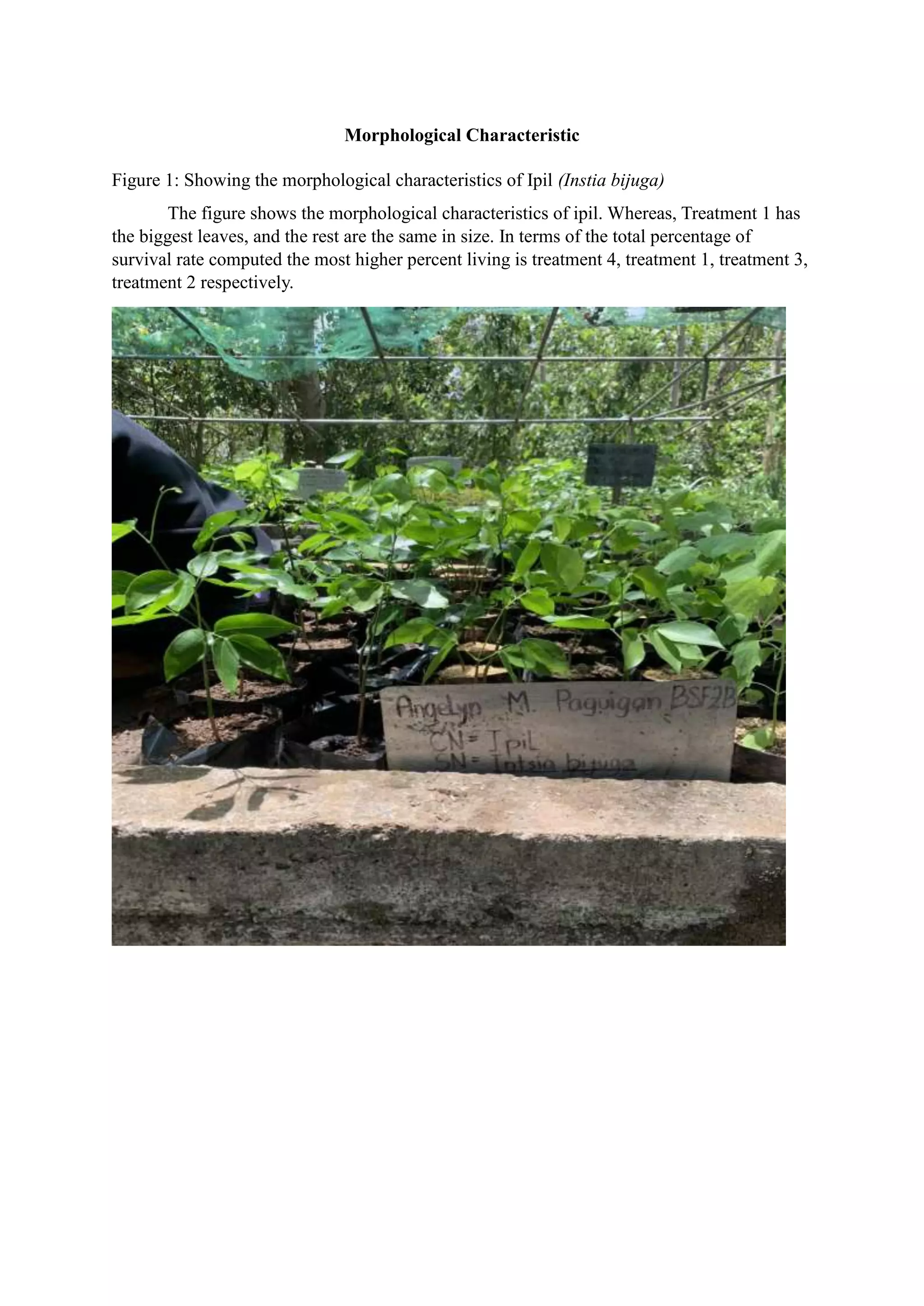 Baby_thesis-1_061037[1].docx