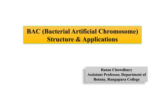 Bacterial Artificial Chromosome BAC.pptx