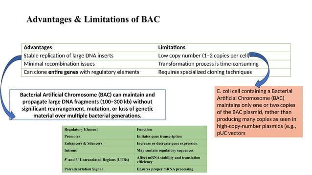 Bacterial Artificial Chromosome BAC.pptx