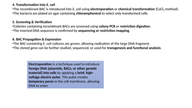 Bacterial Artificial Chromosome BAC.pptx