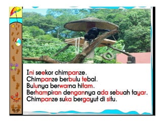 Bacaan linus | PPT