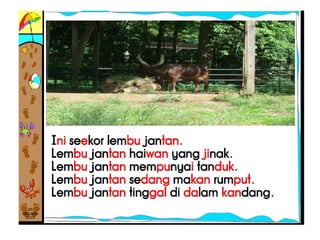 Bacaan linus | PPT