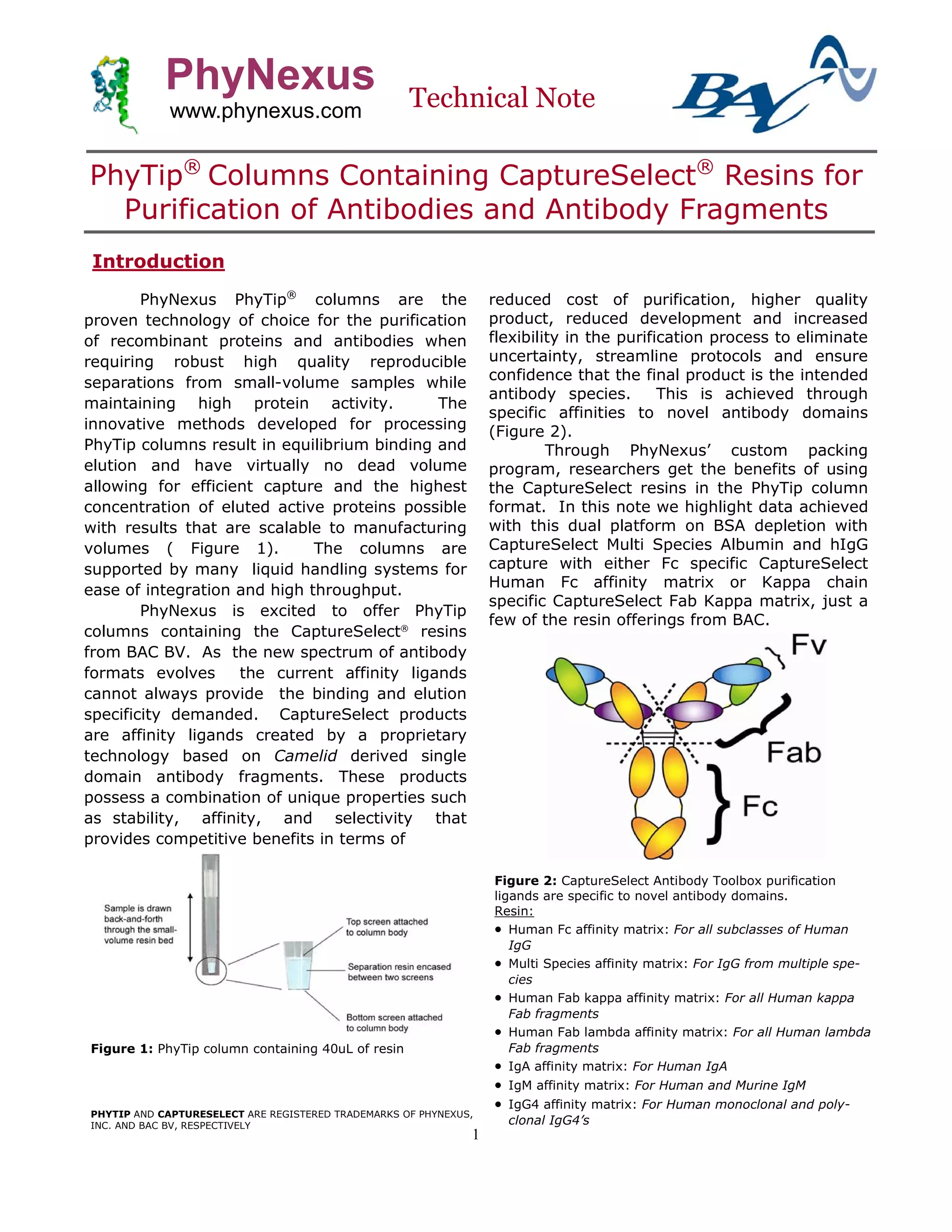 BAC BV resins in PhyTip columns for Protein Purification | PDF