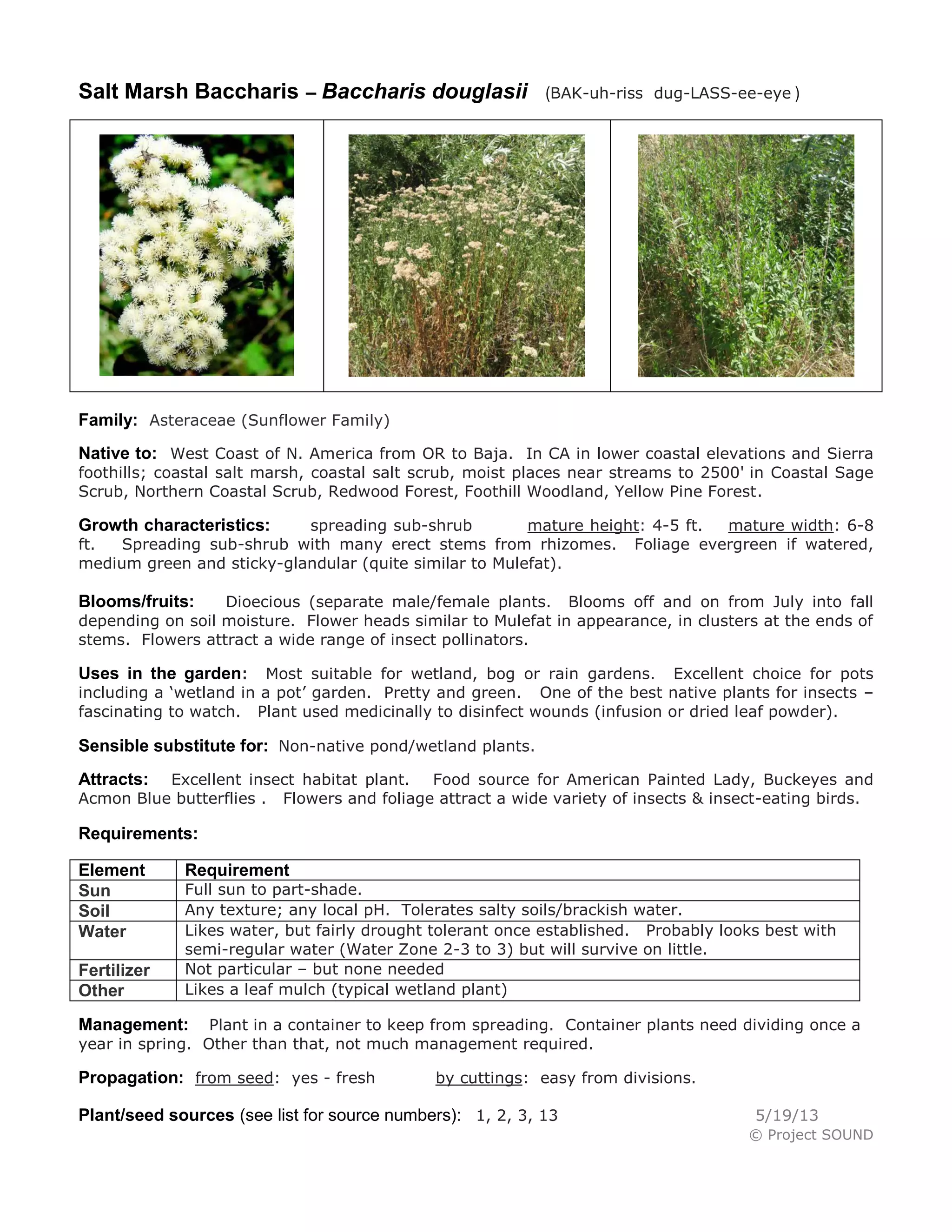 Baccharis douglasii | PDF