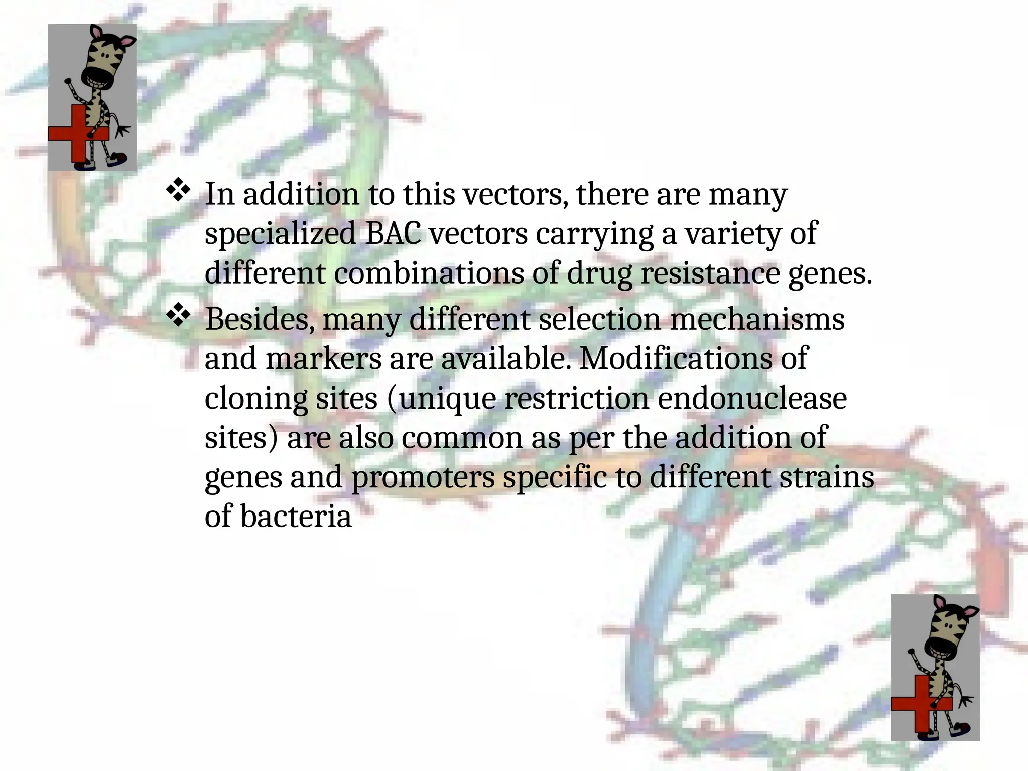 bacterial_artificial_chromosome_yup.pptx