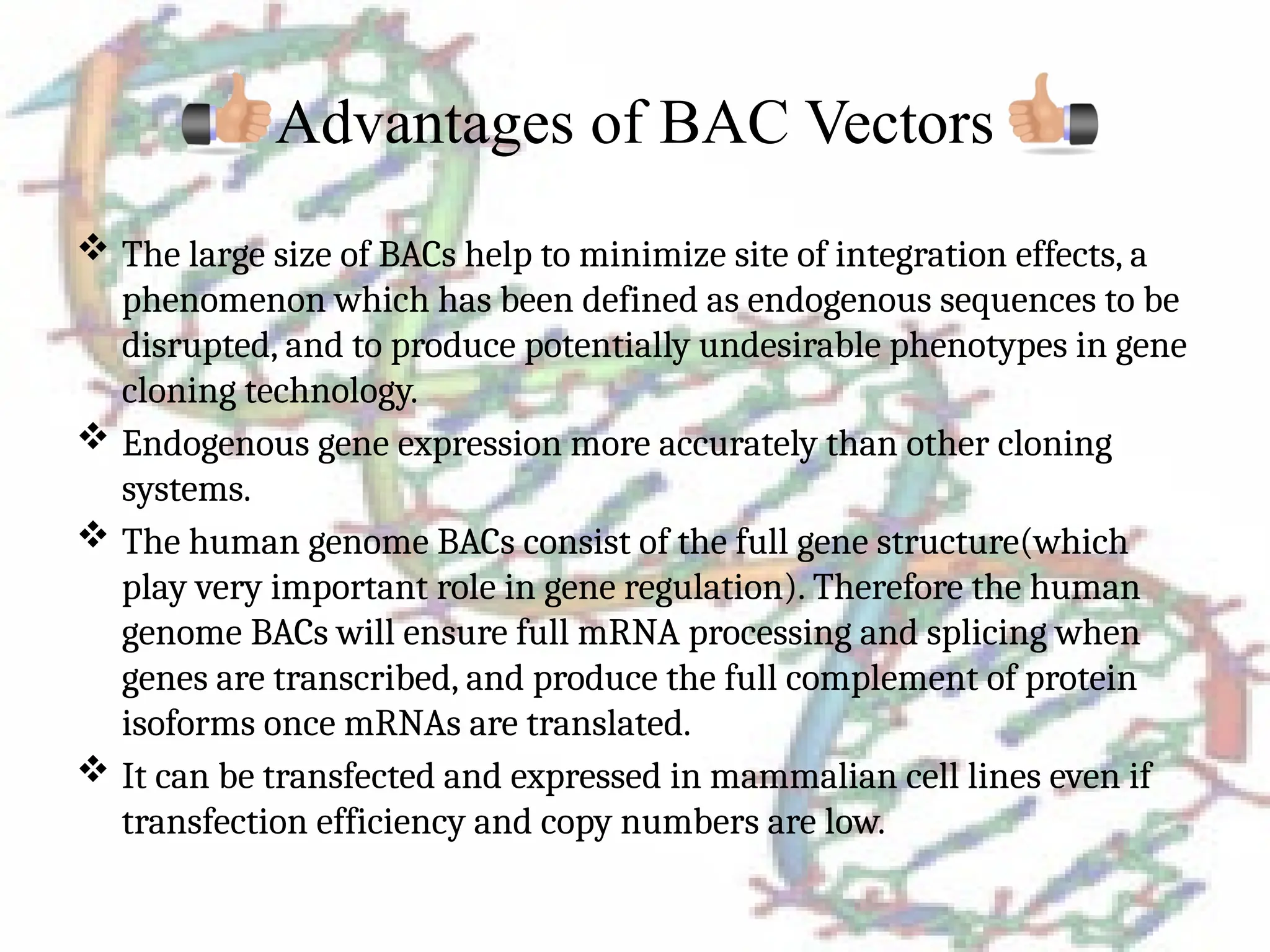 bacterial_artificial_chromosome_yup.pptx