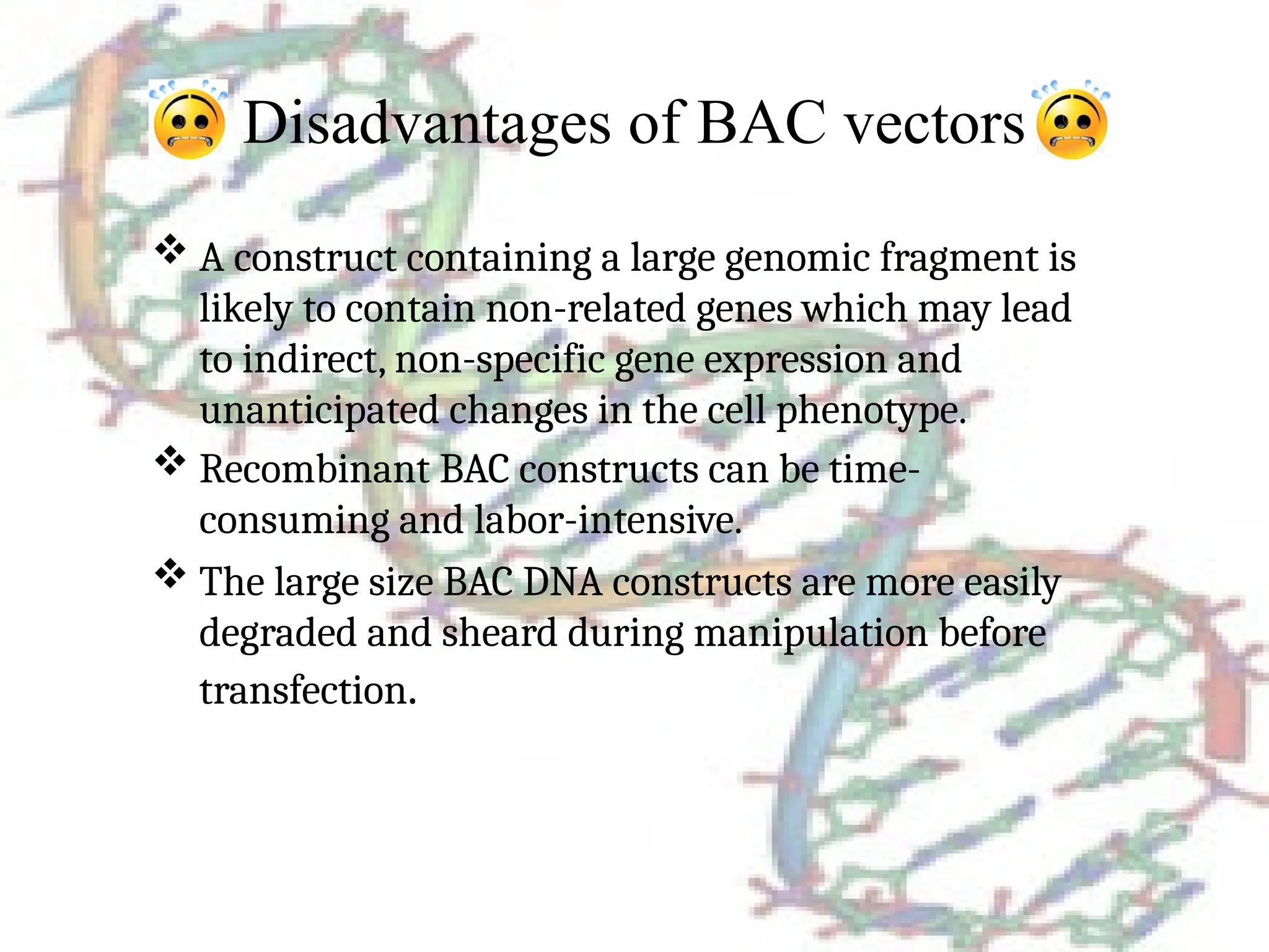 bacterial_artificial_chromosome_yup.pptx