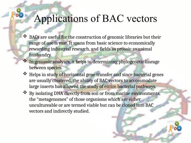 bacterial_artificial_chromosome_yup.pptx