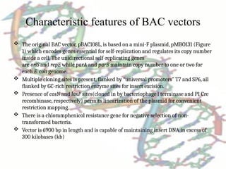 bacterial_artificial_chromosome_yup.pptx