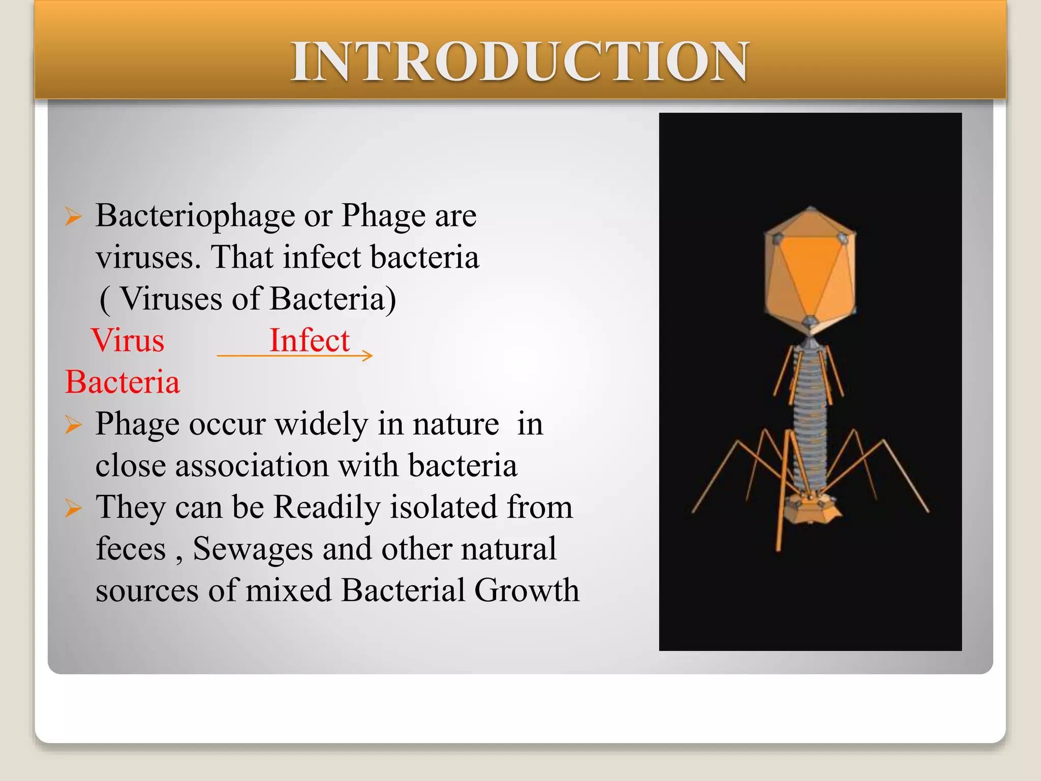 Bacteriophage Life Cycle | PPTX