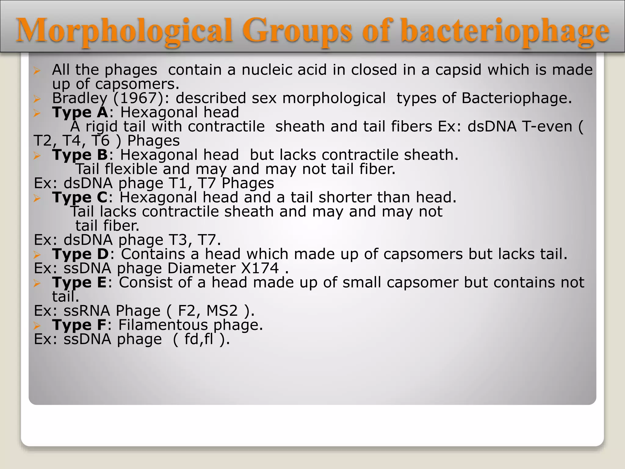 Bacteriophage Life Cycle | PPTX