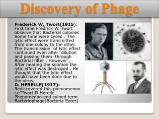 Bacteriophage Life Cycle | PPTX