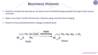 Neurotransmitter Histamin | PPTX