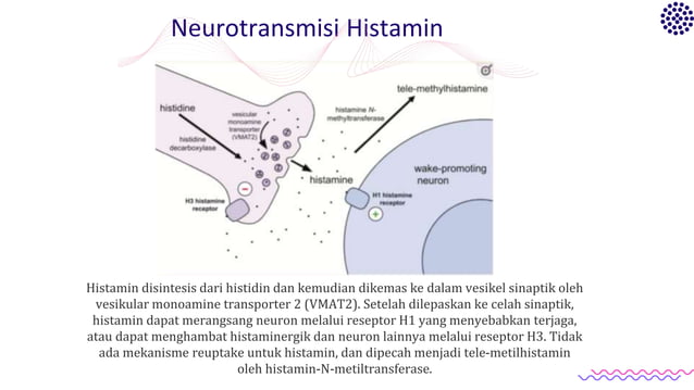 Neurotransmitter Histamin | PPTX