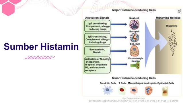 Neurotransmitter Histamin | PPTX